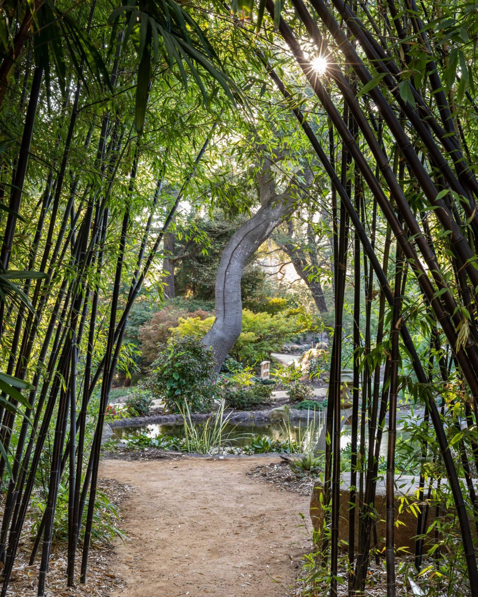Japanese Garden — Ganna Walska Lotusland