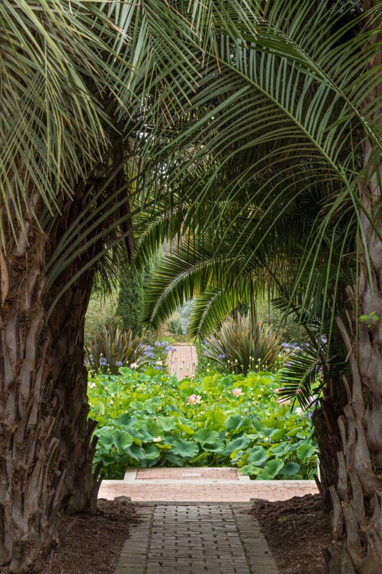 Water Garden — Ganna Walska Lotusland