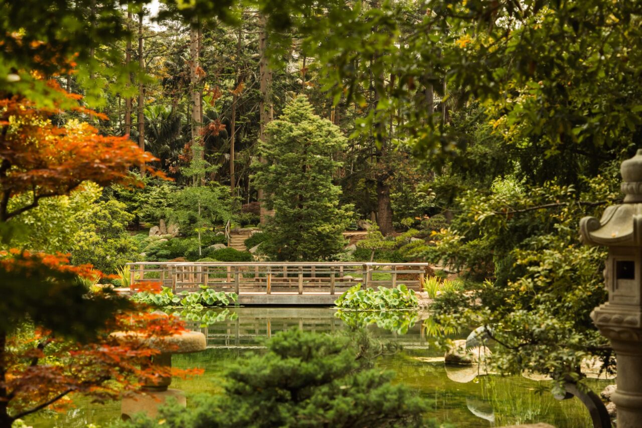 Ganna Walska Lotusland — One of the World's Top Ten Botanic Gardens