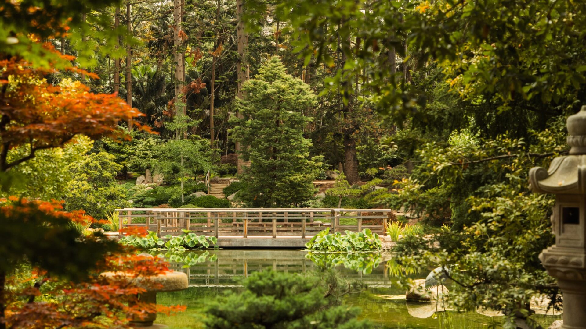 Valentine’s Day at Lotusland — Ganna Walska Lotusland